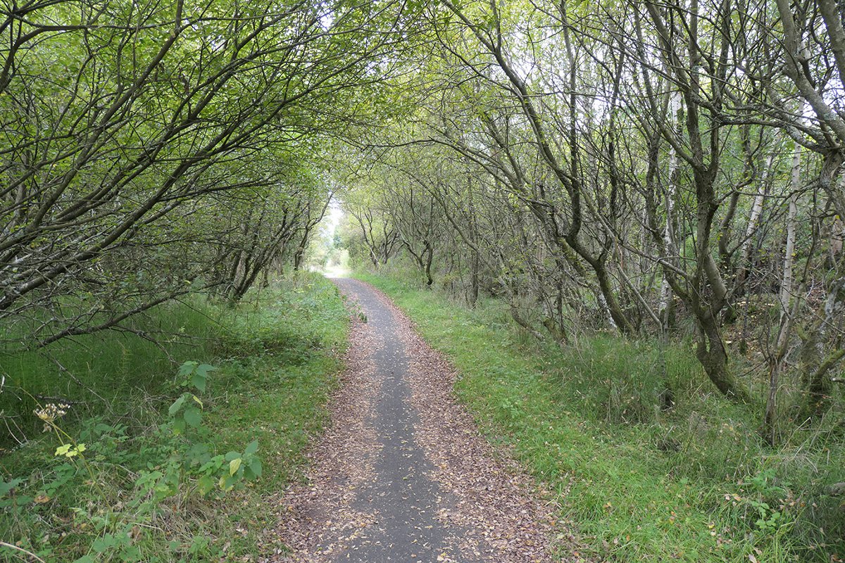 Westrigg No. 2 & 3 pit - Scottish Shale